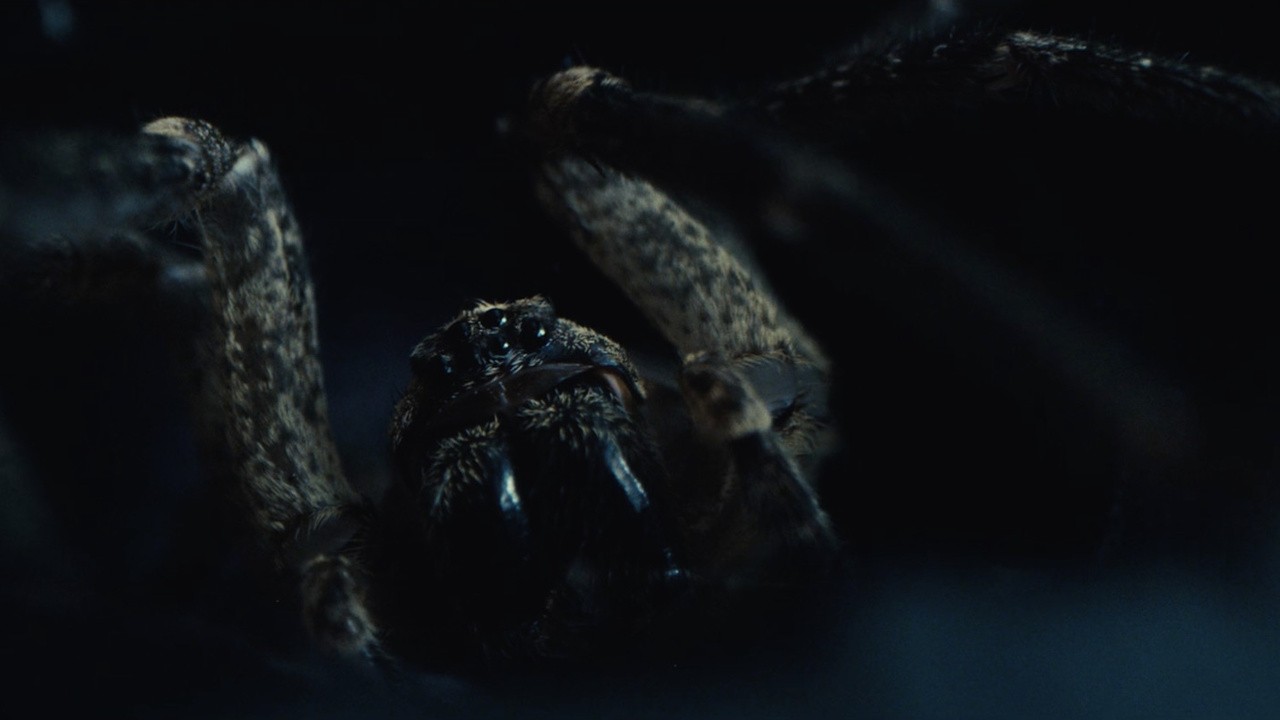 Atom & Void (2024) | MUBI