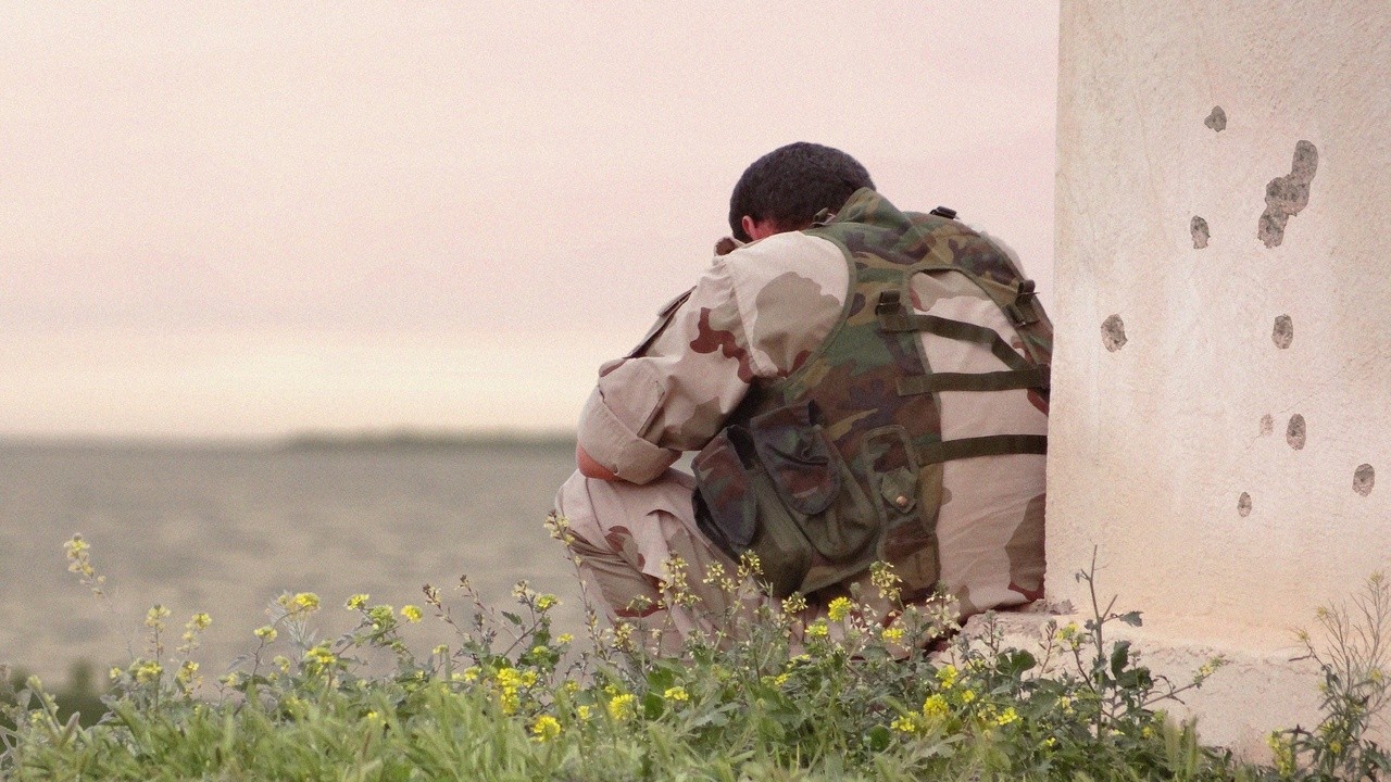 Blowing in the Wind (2024) | MUBI