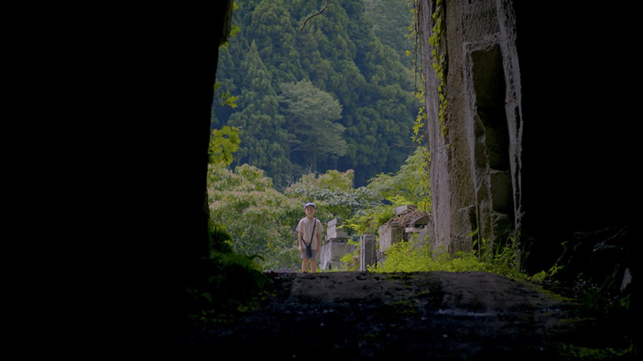 The Bear Wait (2024) | MUBI