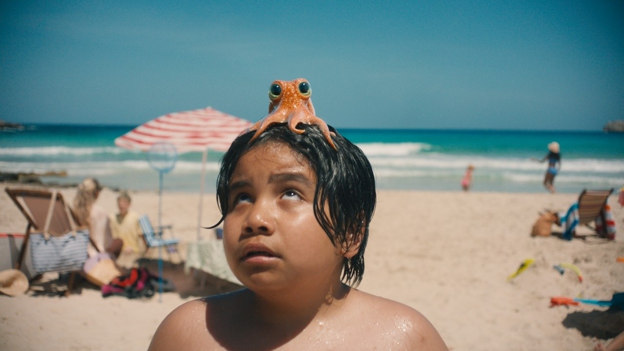 The Boy & The Octopus (2024) | MUBI
