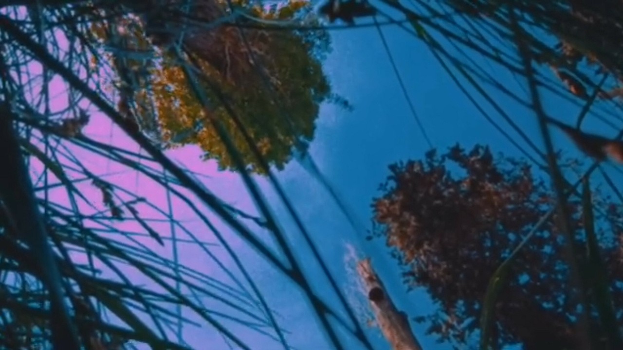 Nostalgia of Everything (2024) | MUBI