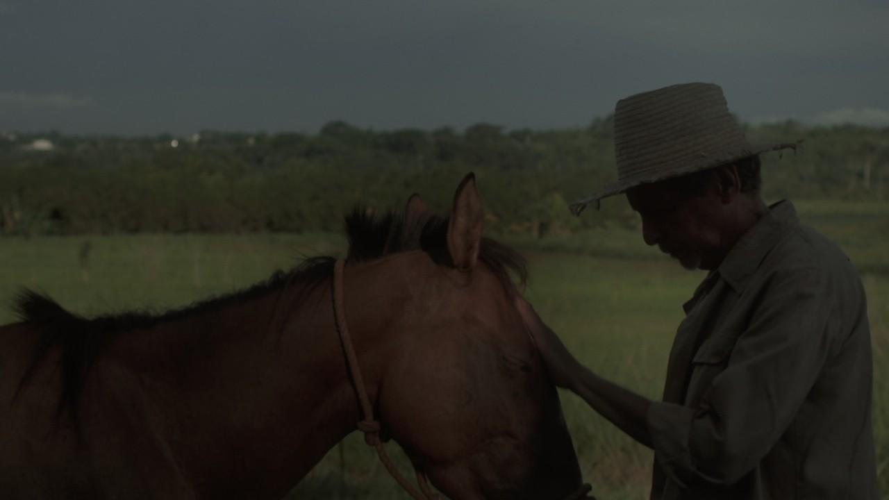 Horses Don't Lie Down (2024) | MUBI