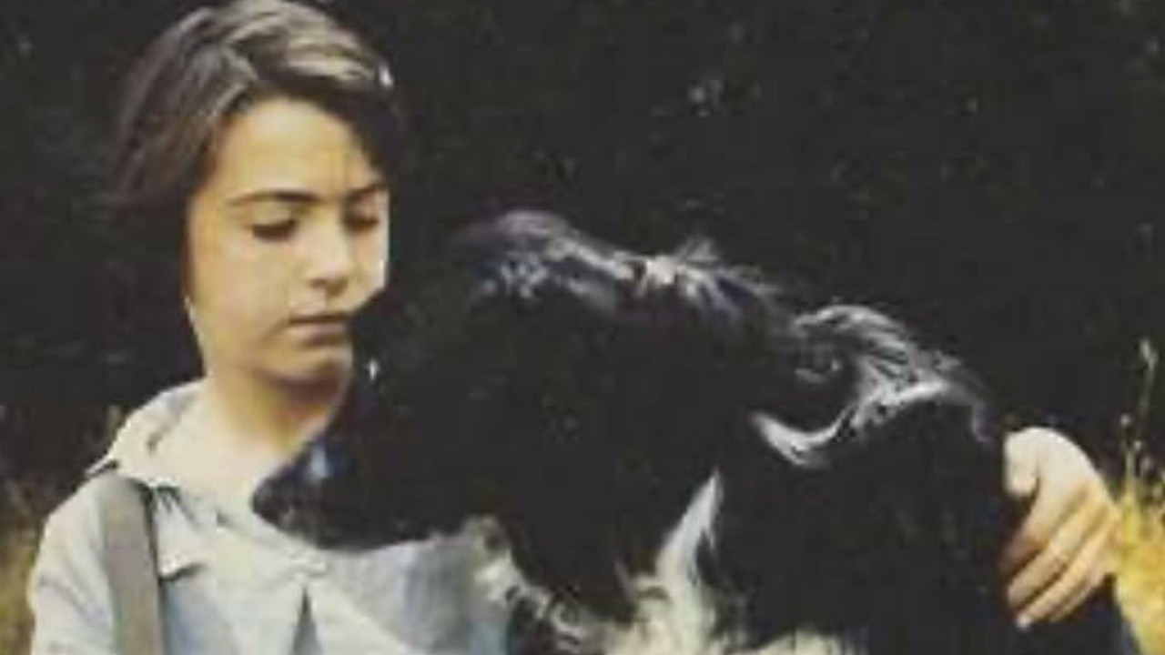 Our John Willie (1980) | MUBI