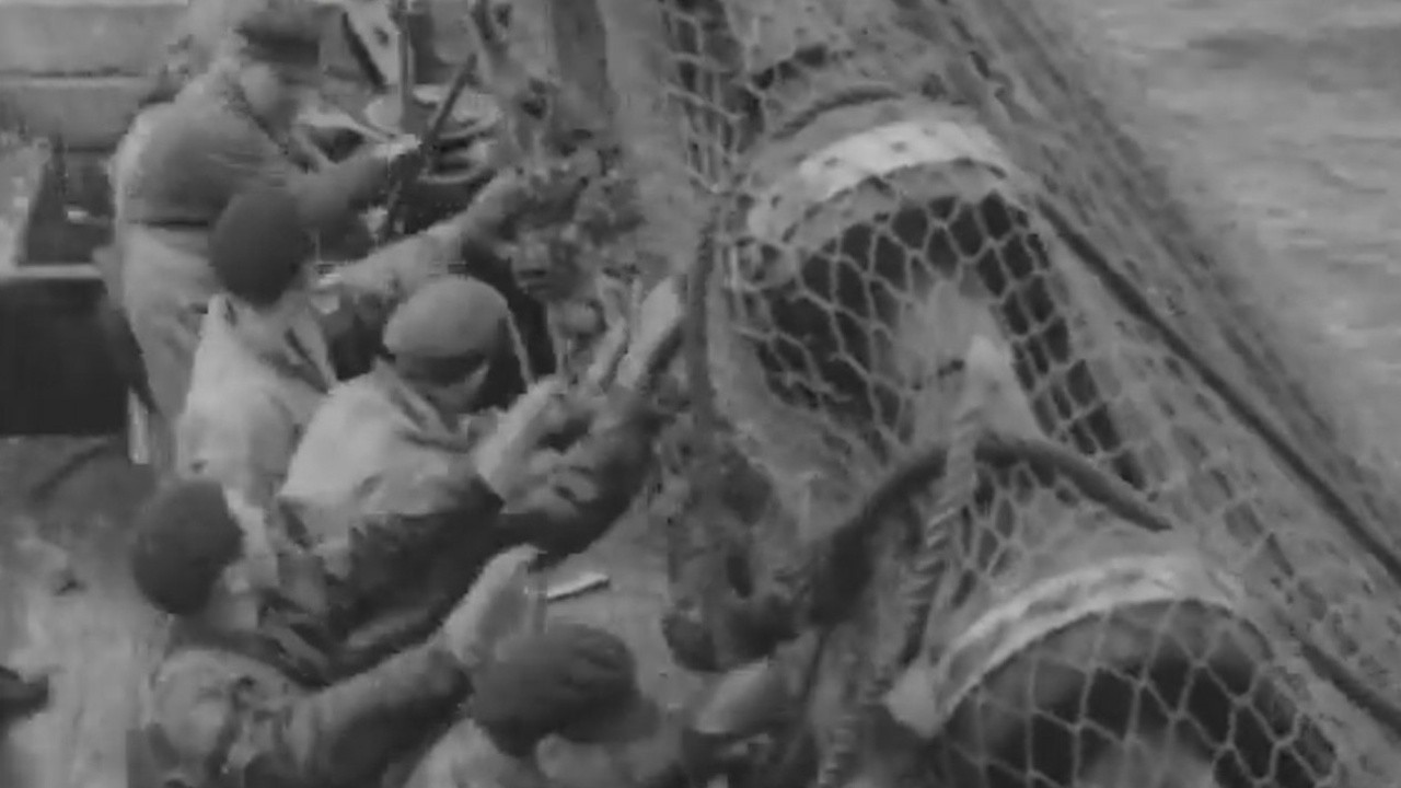 Toilers of the Sea (1923) | MUBI
