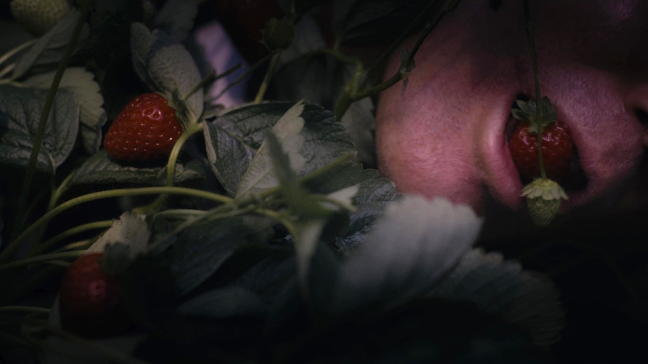 The Shipwrecked Triptych (2025) | MUBI