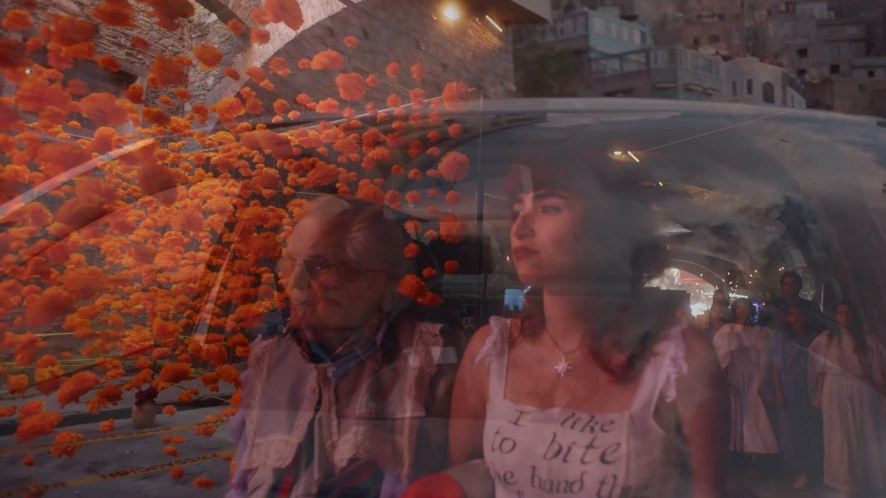 Don Barry: A Quixotic Exploration (2024) | MUBI