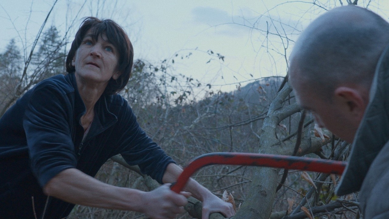 Ceasefire (2025) | MUBI