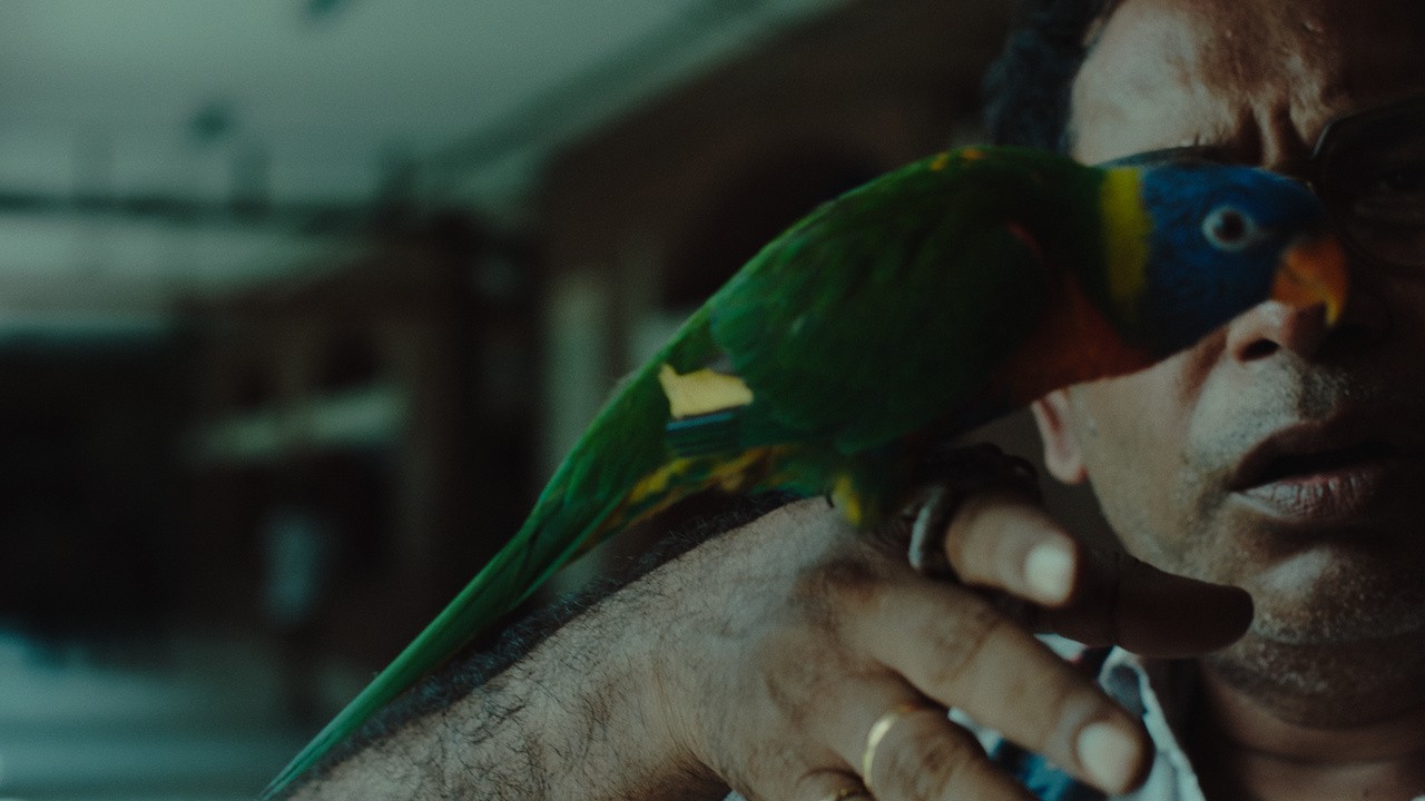 Dui Shaw (2025) | MUBI