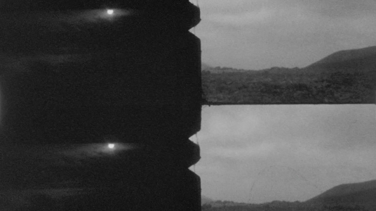 Looking Into the Distance (2024) | MUBI