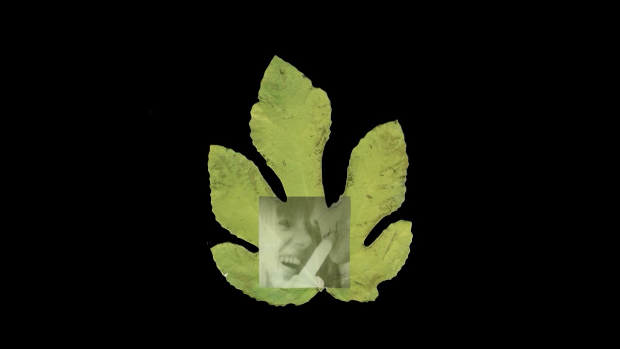 The Fig Tree (2025) | MUBI