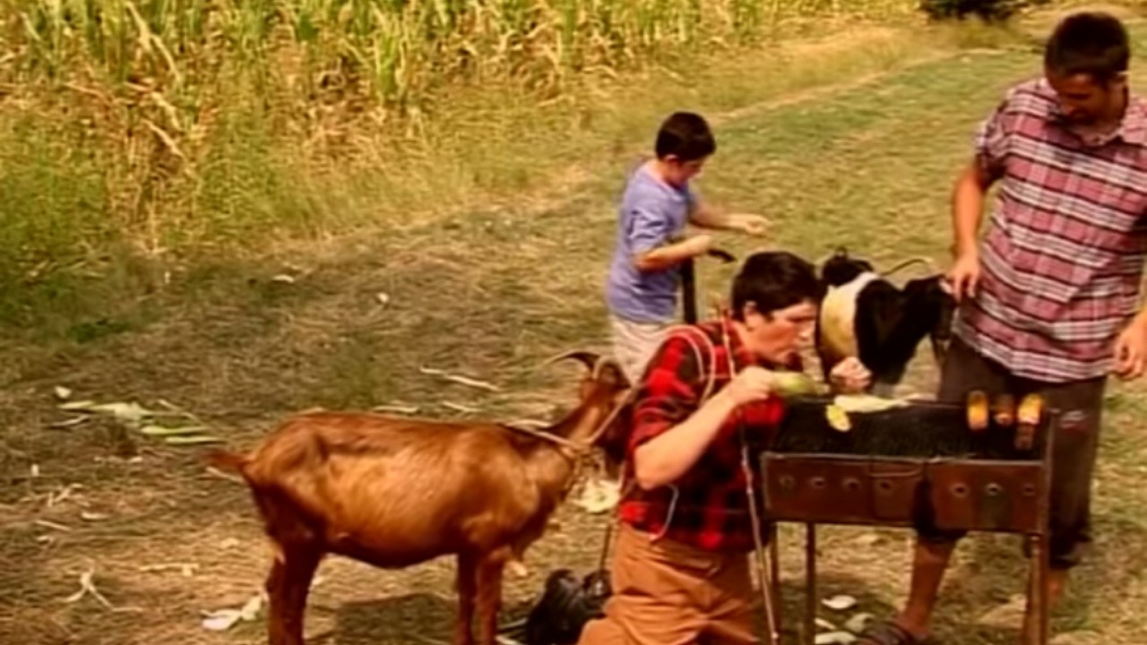 The Interview (2008) | MUBI