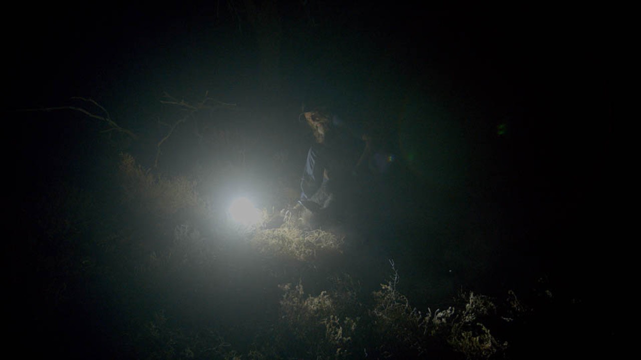 Chasing Roo (2024) | MUBI