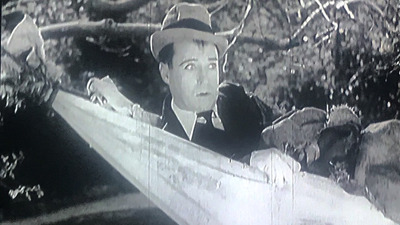Knight Duty (1933) | MUBI