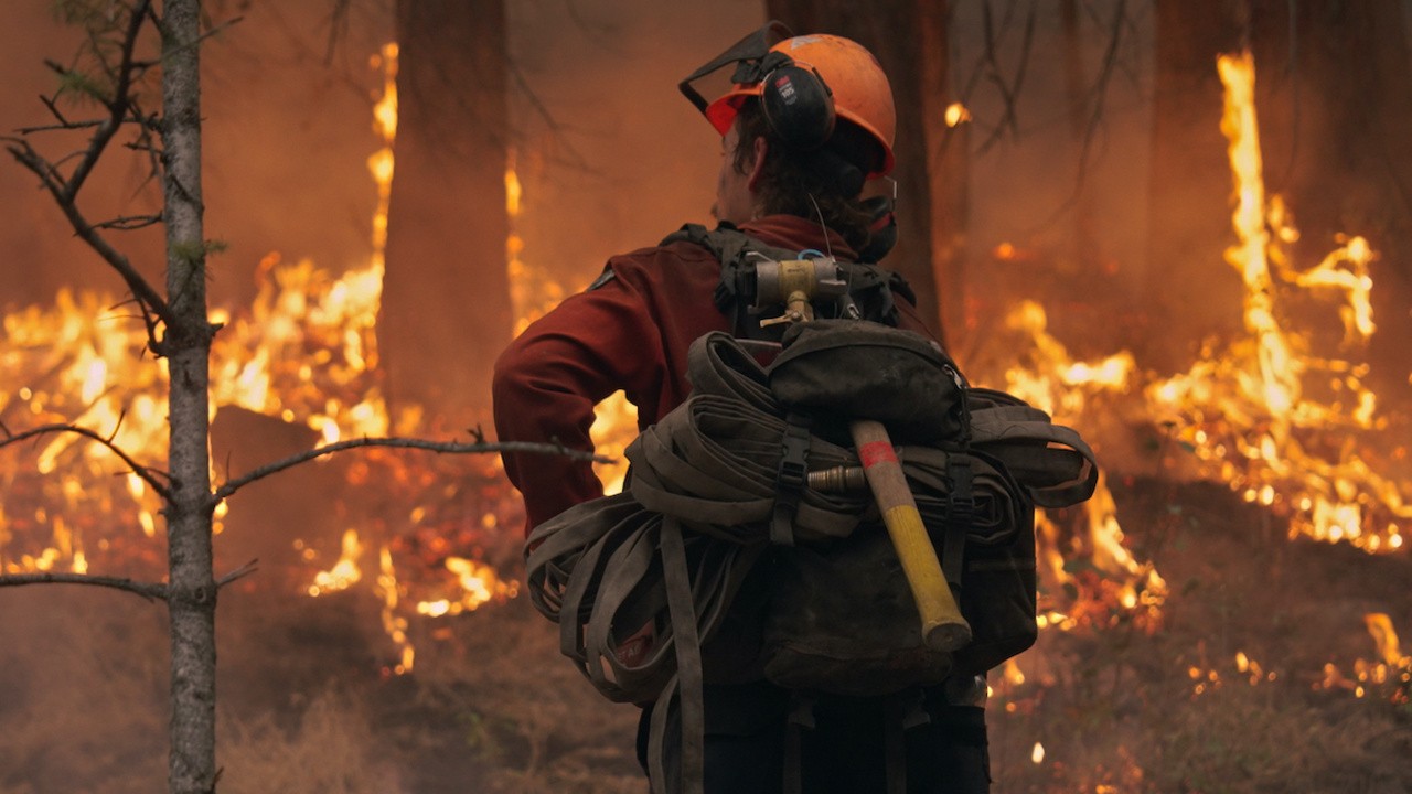 Incandescence (2024) | MUBI