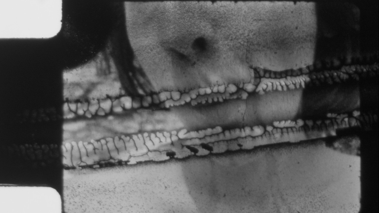 Portrait of Eve (2024) | MUBI