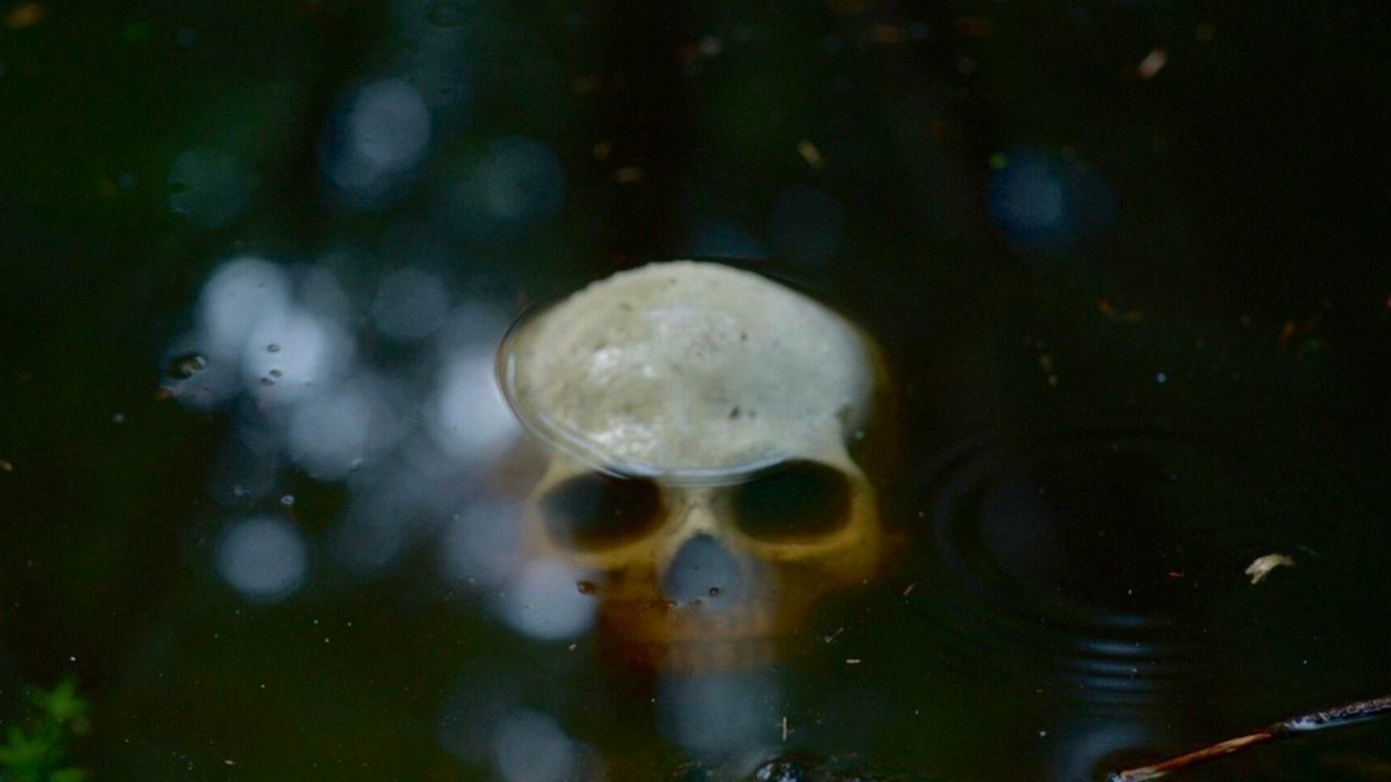 By the Light of the Fire (2024) | MUBI