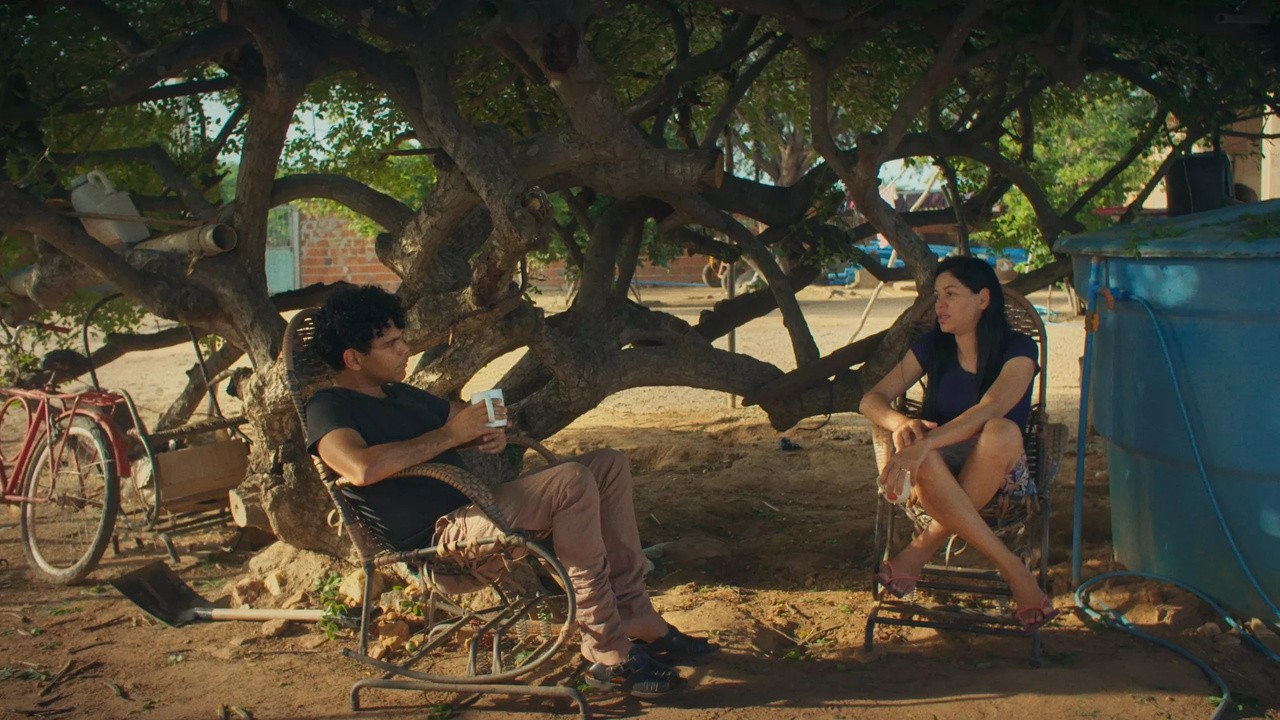 Aurora (2025) | MUBI