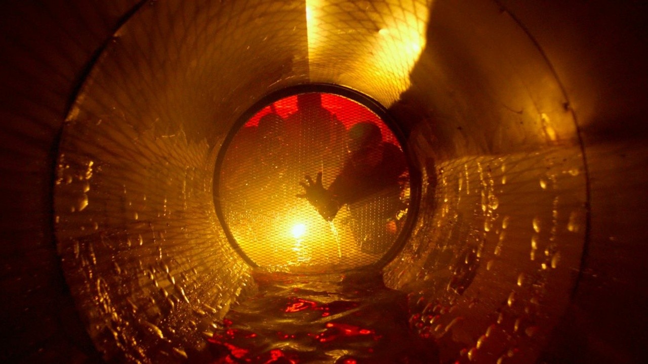 TRAILER - Kraken (2025)