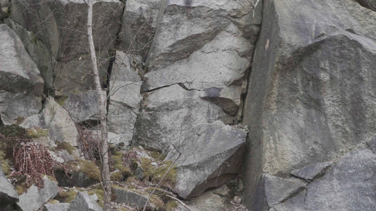Memory Spaces (2023) | MUBI