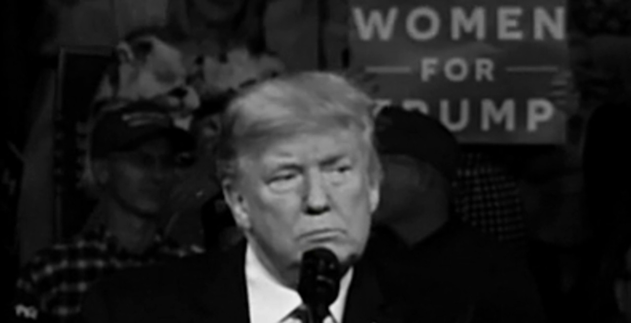 Citizen Trump: A One Man Show (2020) | MUBI