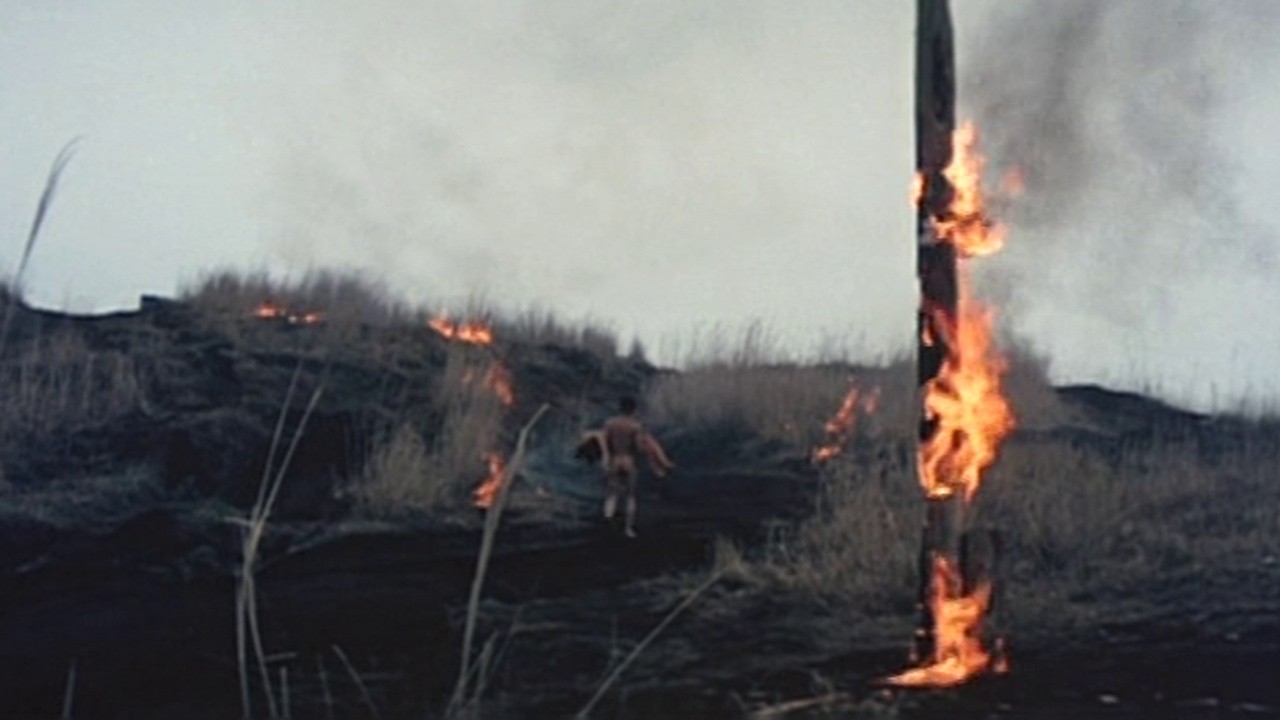 Violent Virgin (1969) | MUBI