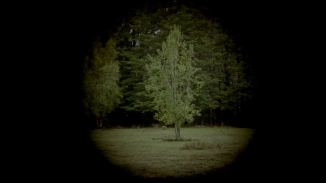 Nine Different Nuances of the Same Colour (2025) | MUBI