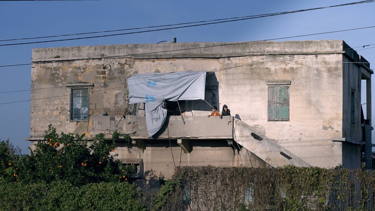 Solidarity 2025 Mubi