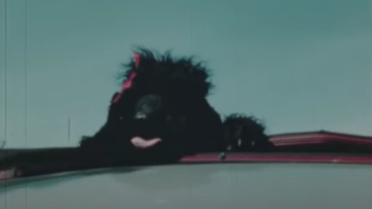 Hobo's Lady (1945) | MUBI