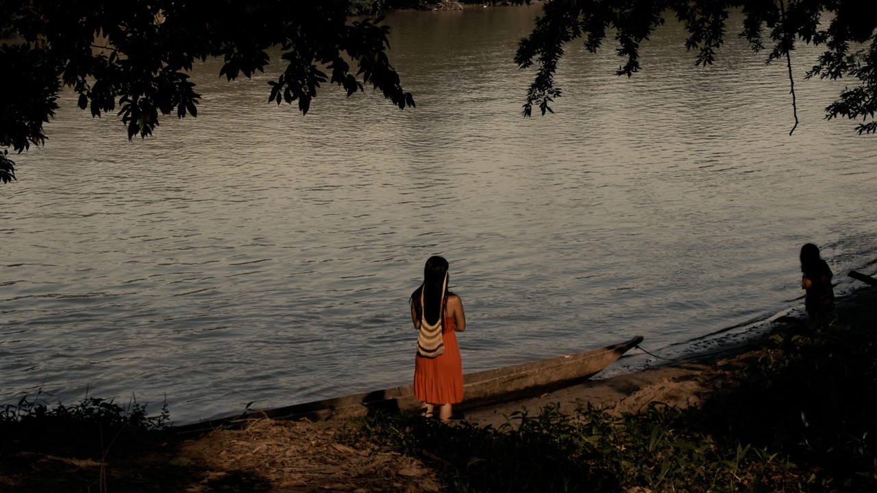 Waska, the Forest is My Family (2025) | MUBI