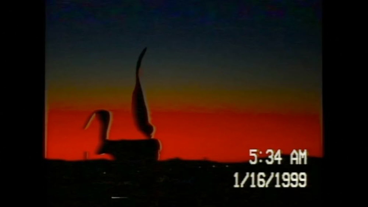 Midwest Angelica (2022) | MUBI