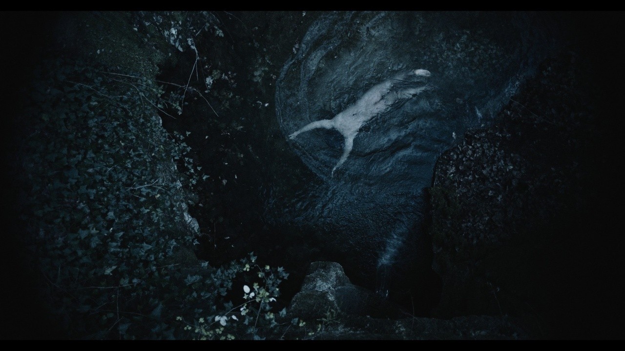 I disappeared (2025) | MUBI