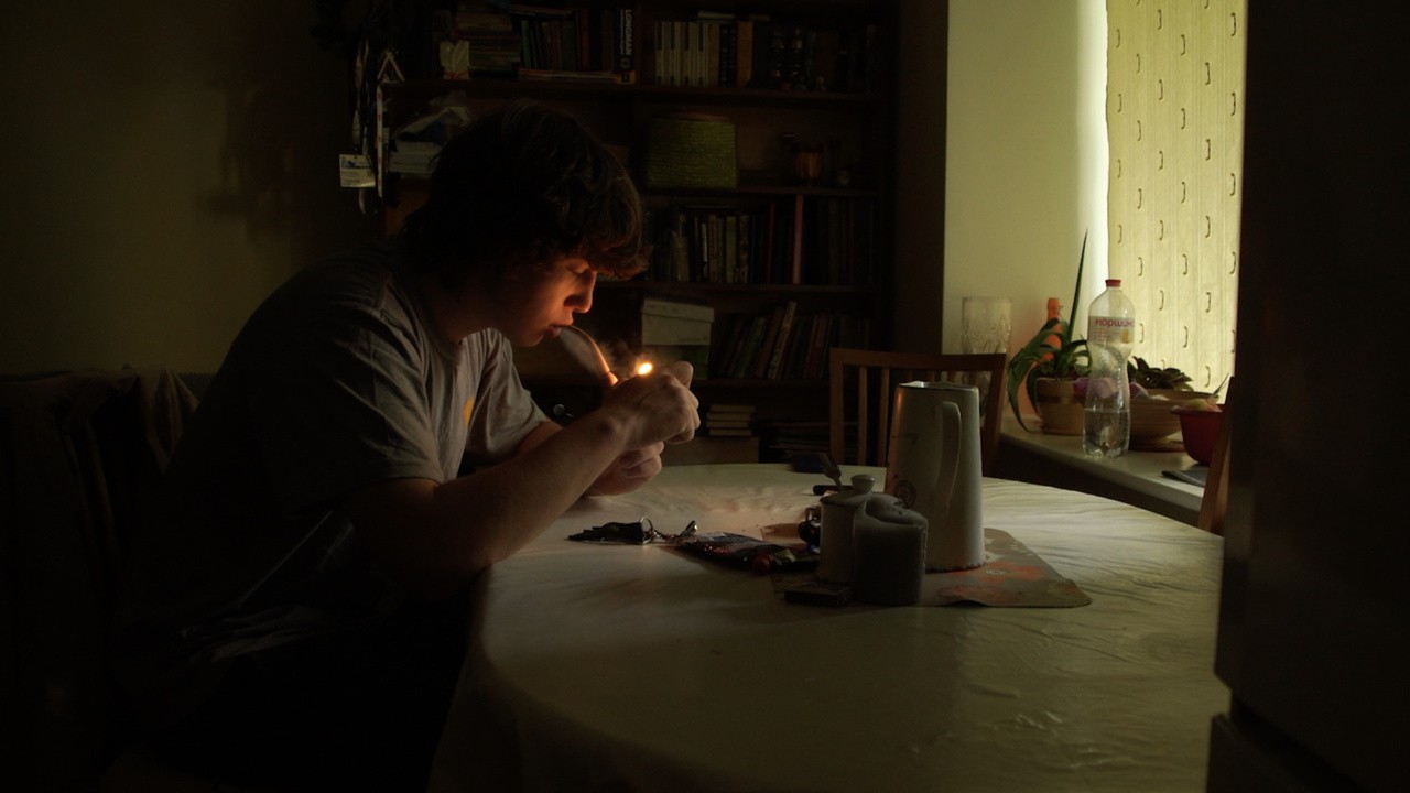 The Birds are Silent (2025) | MUBI