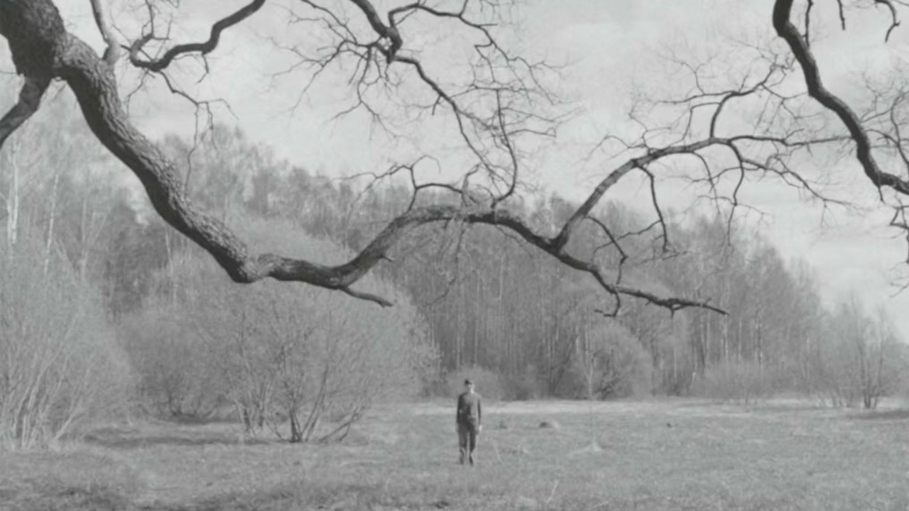 Zero Point 2025 Mubi