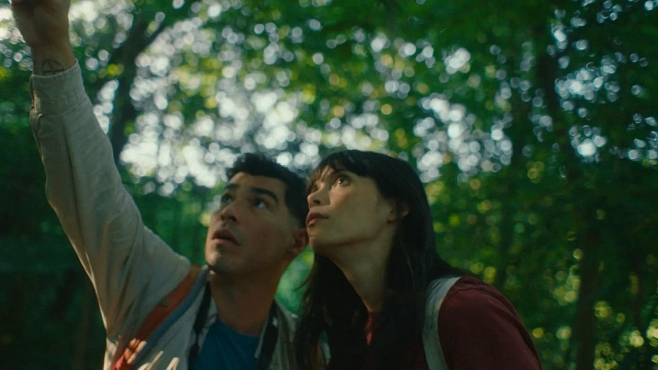 A Bird Came Down (2025) | MUBI