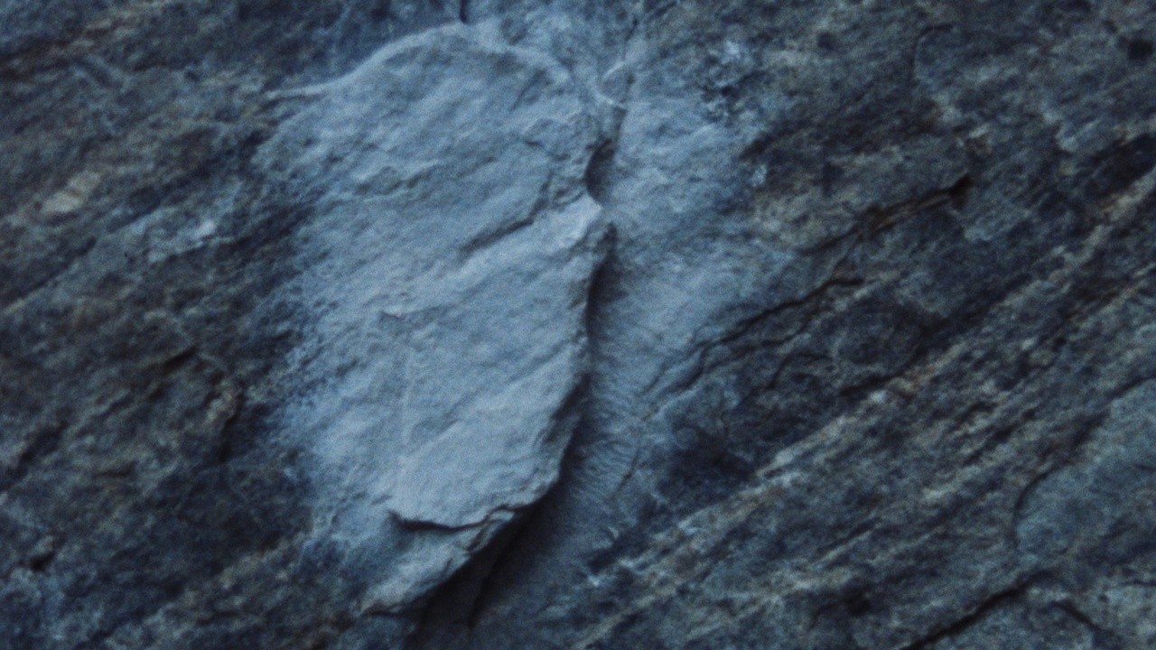 Touching Rocks (2025) | MUBI