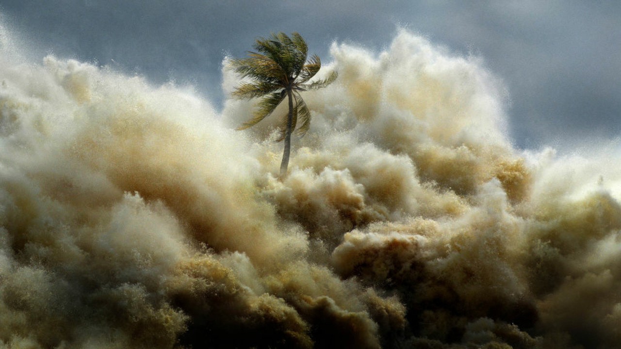 Tsunami: Race Against Time (2024) | MUBI