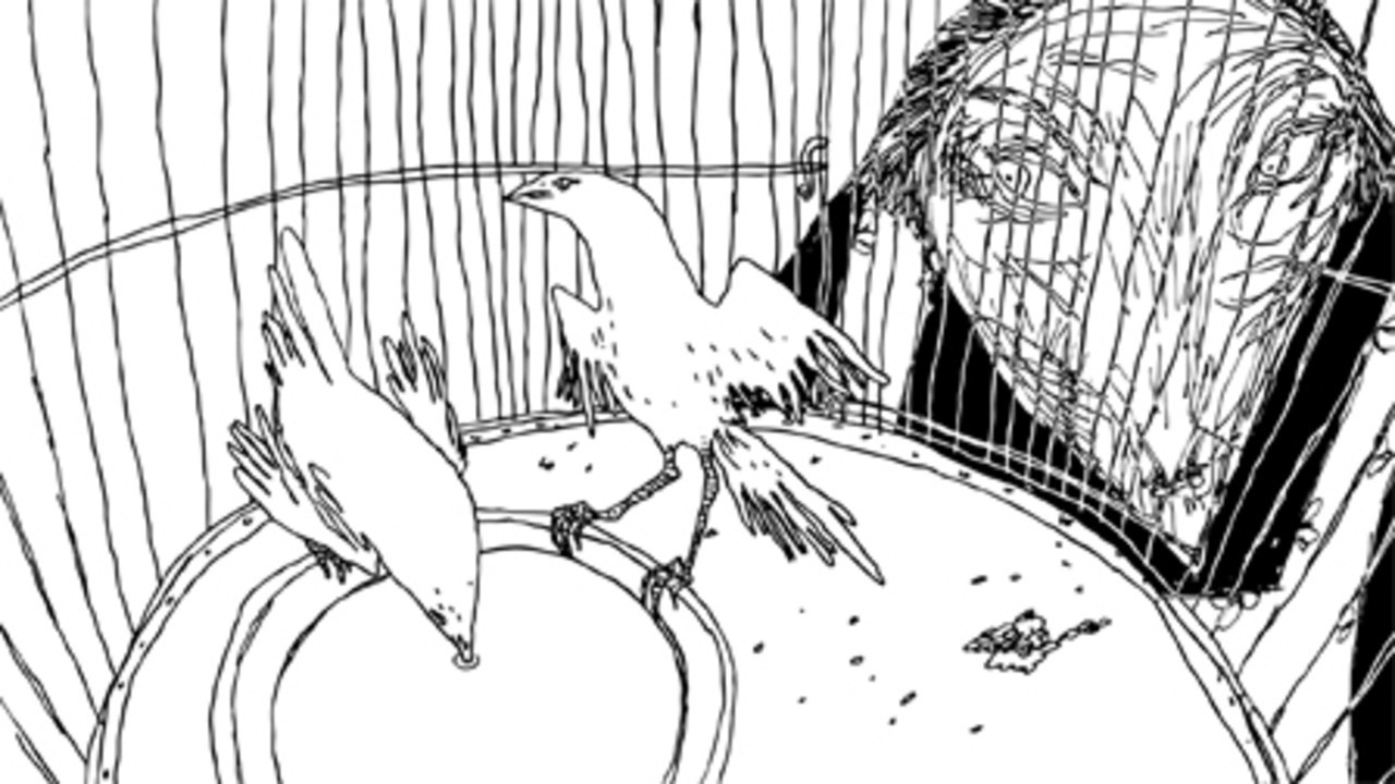 Birds (2009) | MUBI