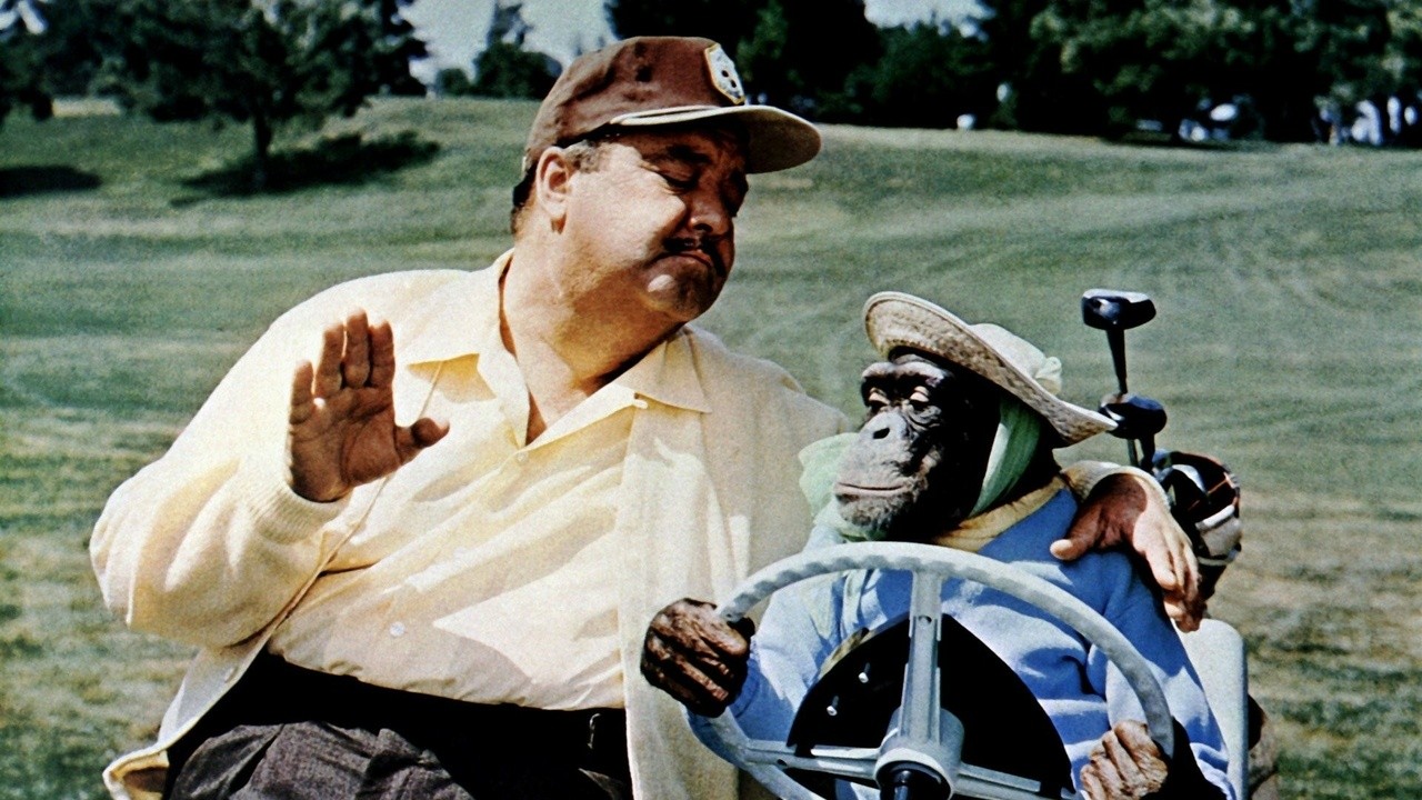 How to Commit Marriage (1969) | MUBI