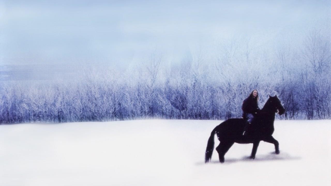 The Winter Stallion (1992) | MUBI