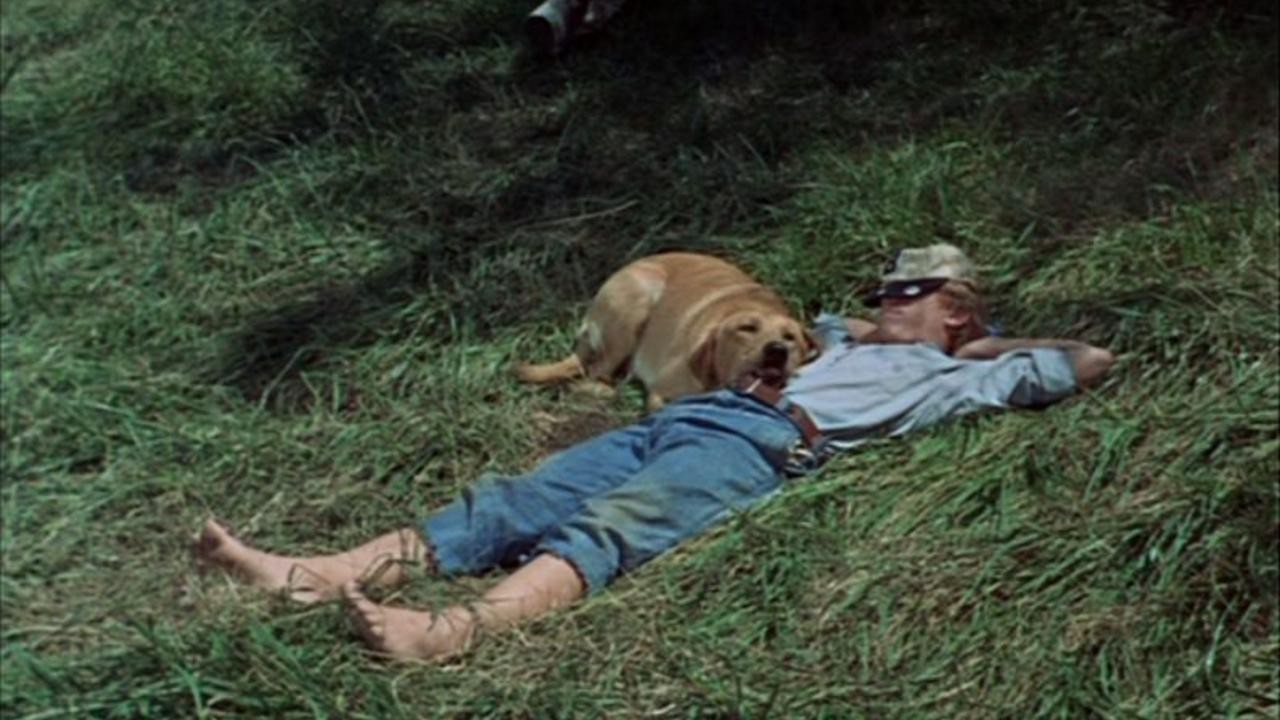 Richard Erdman – Movies, Bio and Lists on MUBI