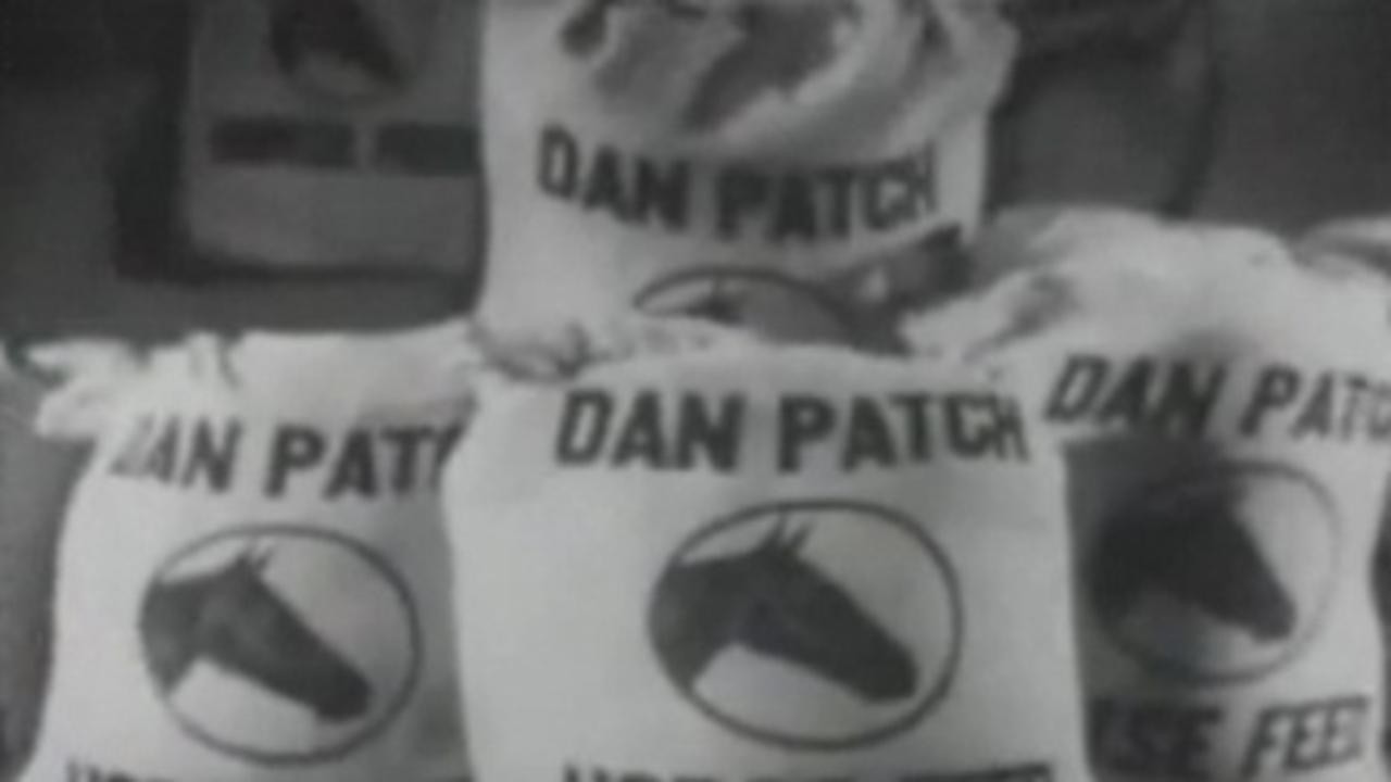 The Great Dan Patch (1949) | MUBI