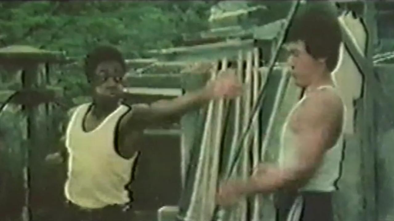 Soul Brothers of Kung Fu (1976) | MUBI