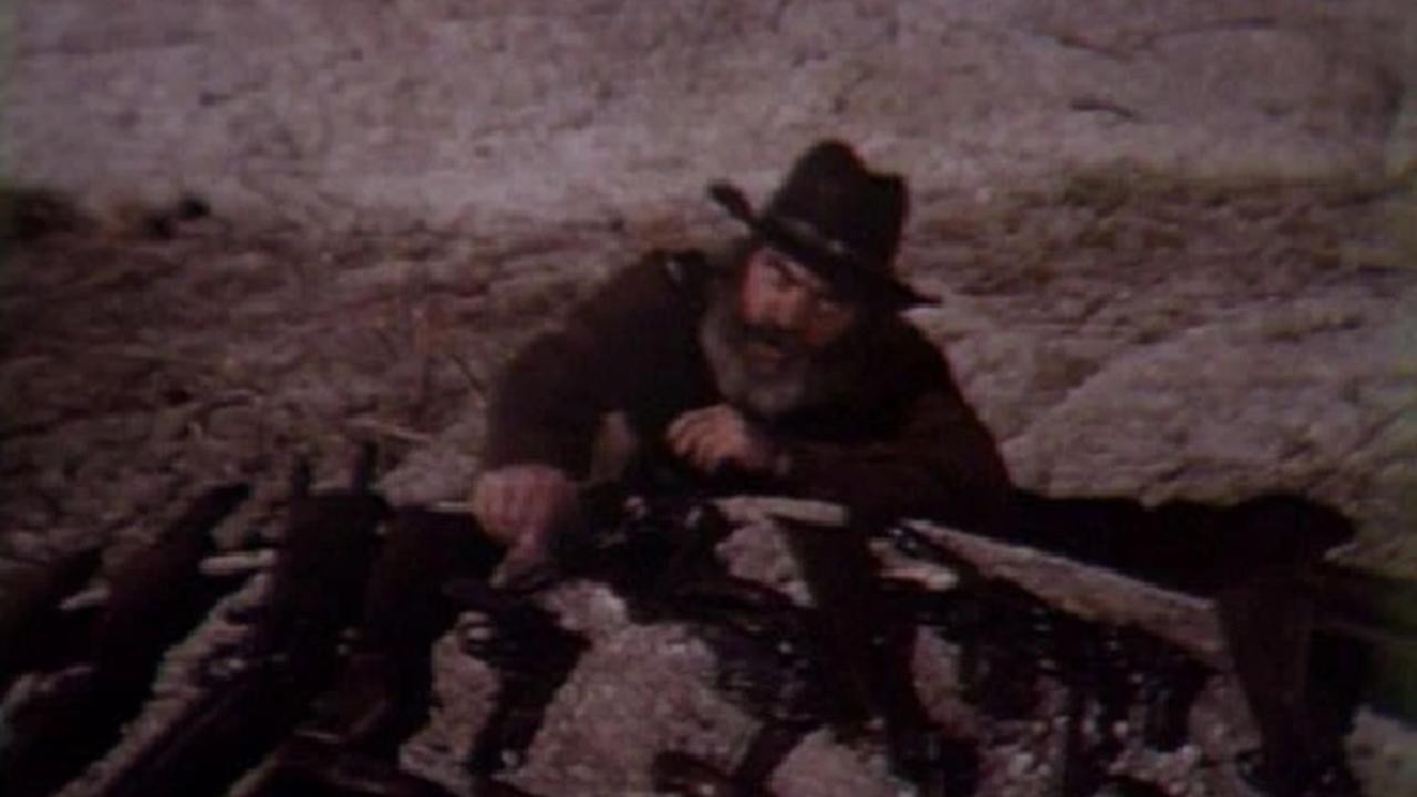 Hawmps! (1976) | MUBI