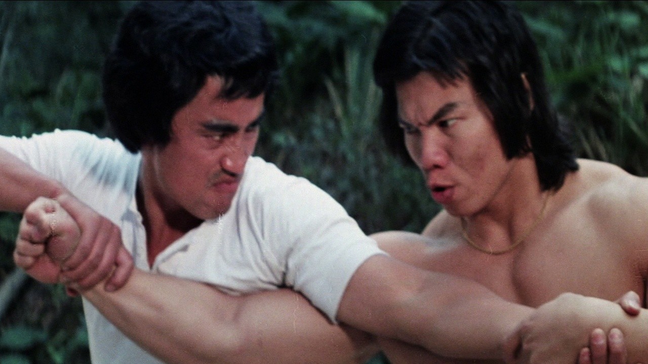 The Dragon on Fire (1978) | MUBI