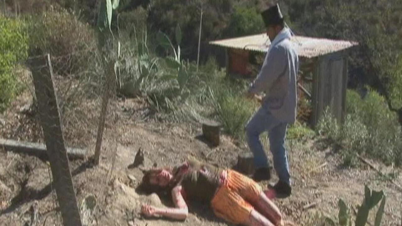 Borderline Cult (2007) | MUBI