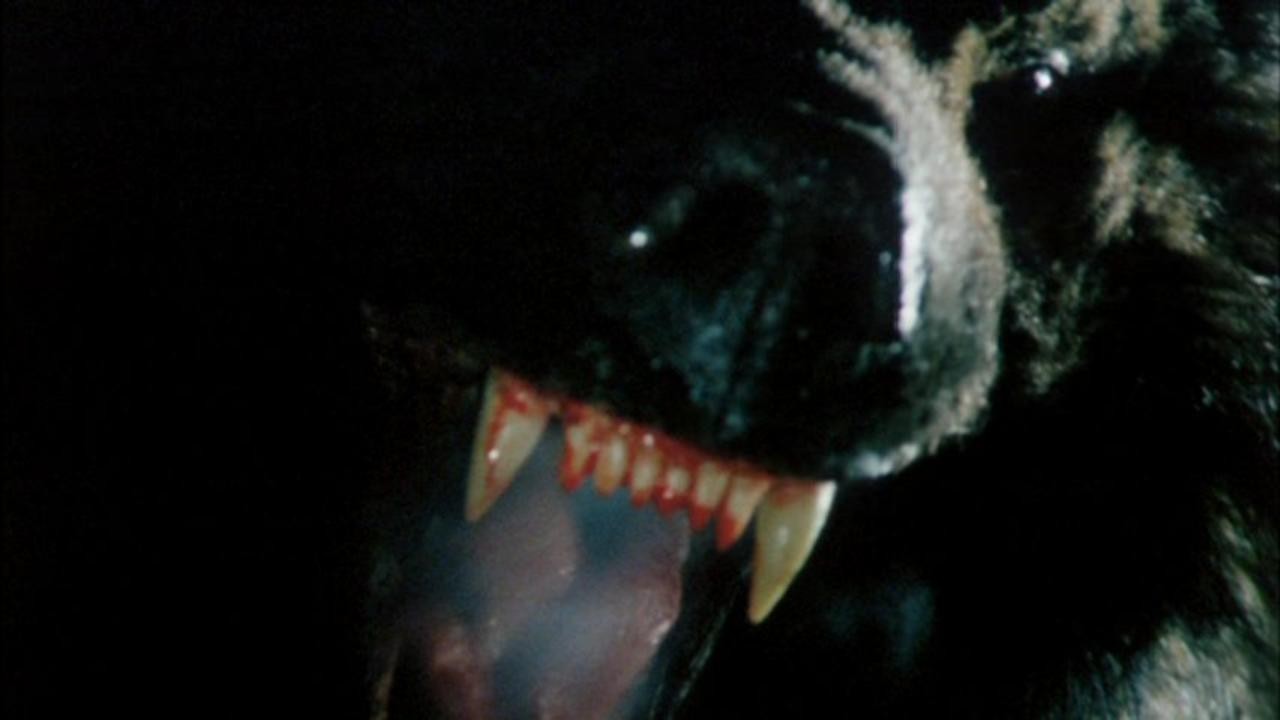 Yellow Fangs (1990) | MUBI