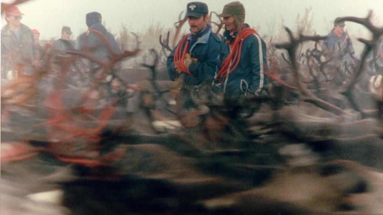 Threat 1987 Mubi