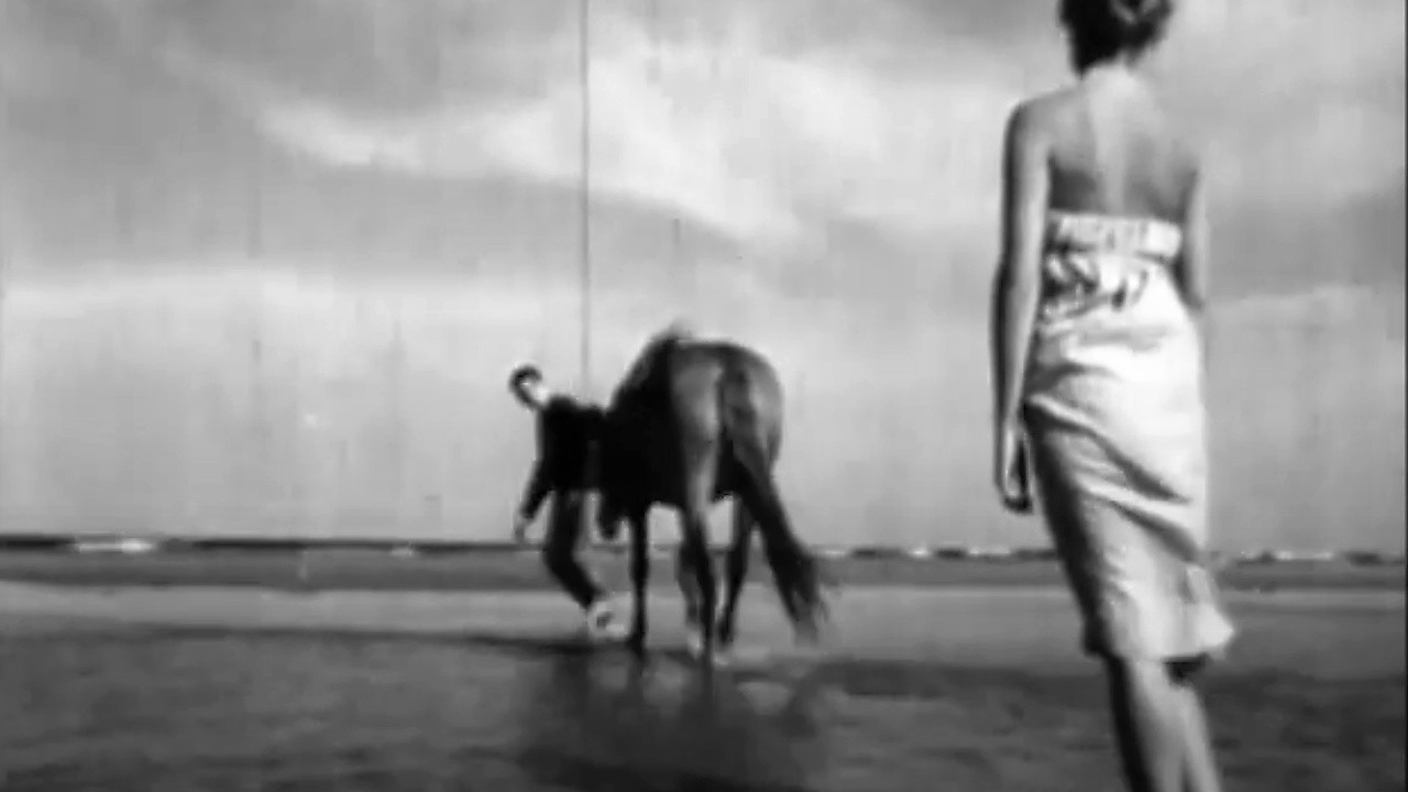 Andrzej Kostenko – Filme, Biografien und Listen bei MUBI