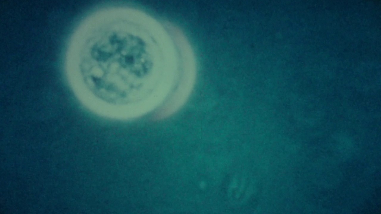 Kaldalon (1971) | MUBI