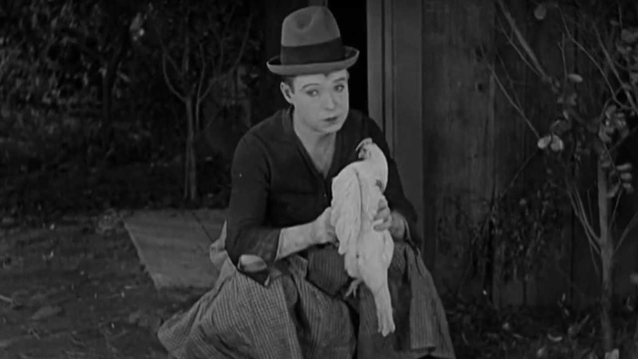 The Chaser (1928) | MUBI